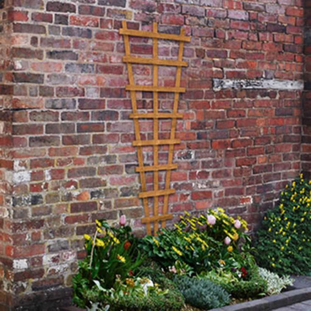 Heavy Duty Dip Treated Traditional Fan Trellis 183 x 66 cm – Pure ...